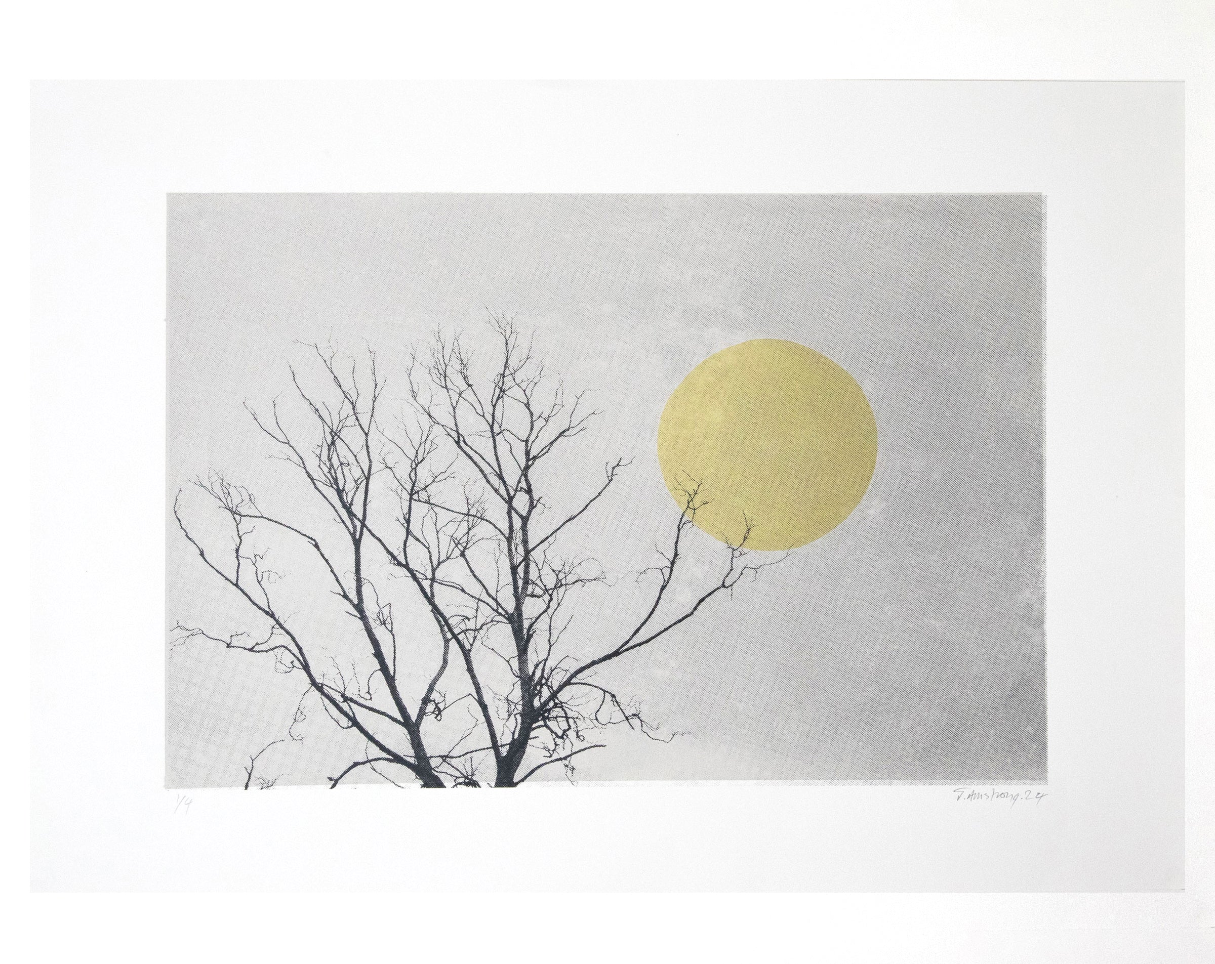 Jonathan Armstrong | Moonlight - Gold – TAP Galleries